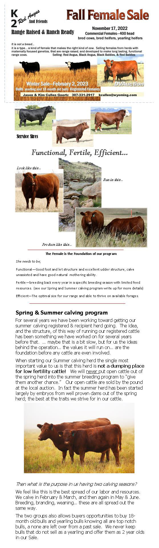 Females - K2 Red Angus